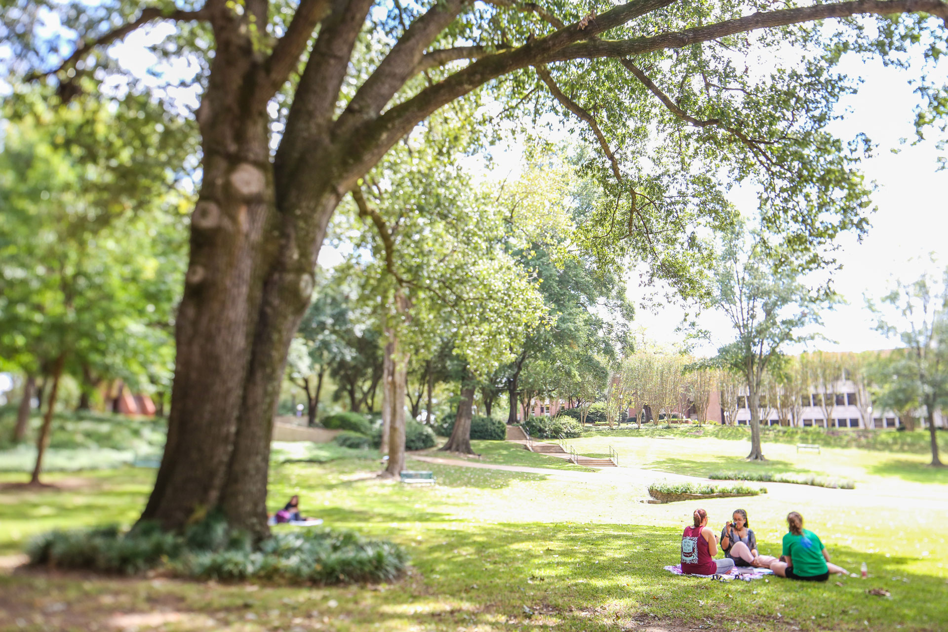 Honors Program - Millsaps College