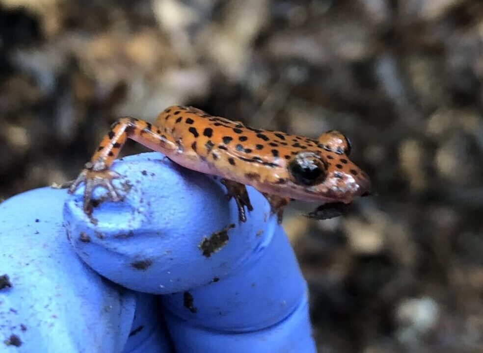 HOME - Millsaps College